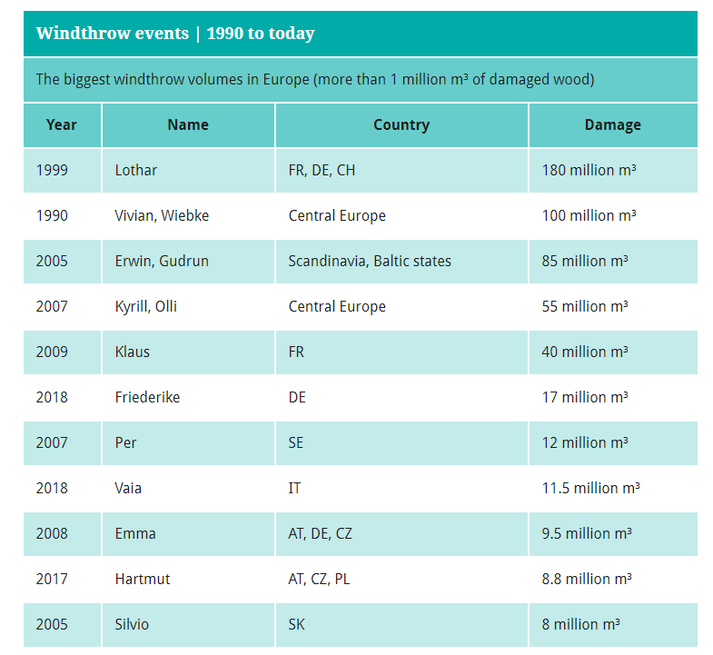 Knock on wood - GrECo risk and insurance management
